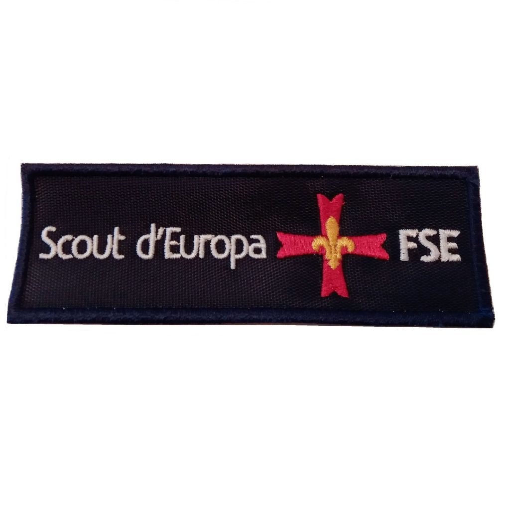 ScoutingFSE